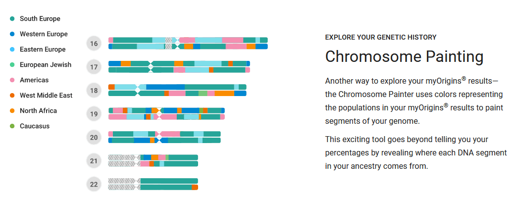 Best DNA Testing for Tracing Migration Patterns - 9Ranks.com