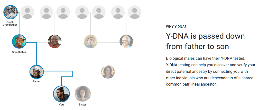Best DNA Testing for Building Family Trees in 2023 - 9Ranks.com